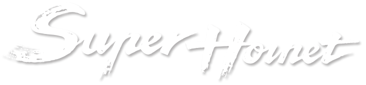 Super Hornet_公司產品 | 智崴資訊科技股份有限公司 I 飛行影院廠商